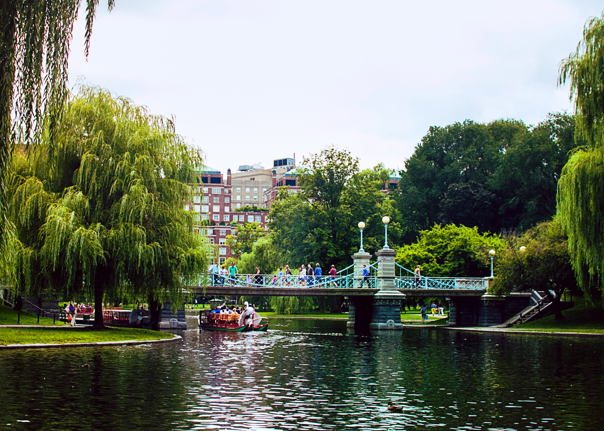 Spring time in Boston with Flower Photography tips